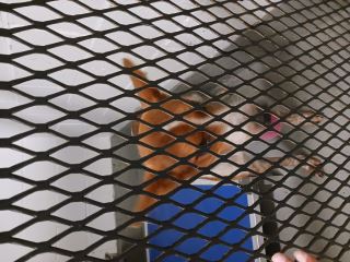 Animal Shelter :: BUFF (Case # 94124)